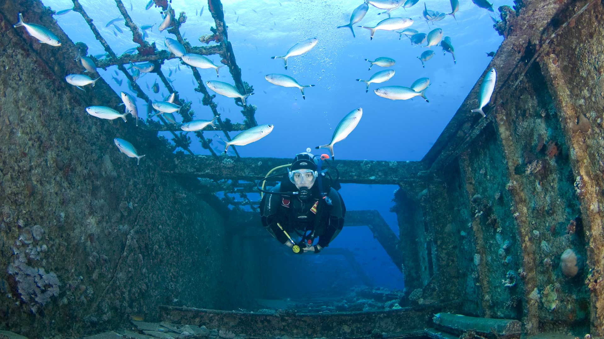 PADI Advanced Diver Course - Ao Nang, Krabi - Sea Gypsy Divers